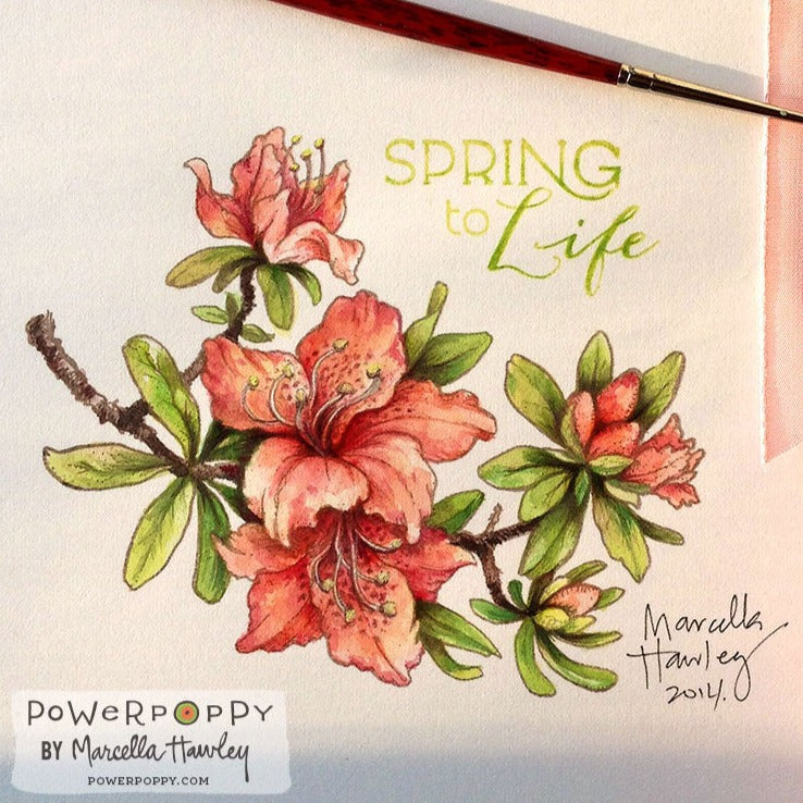 Azaleas Forever Digital Stamp Set - Power Poppy by Marcella Hawley