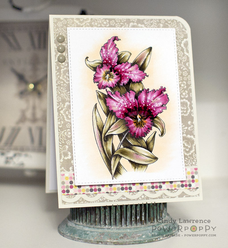 Ruffled Wild Orchids Digital Stamp Set - Power Poppy by Marcella Hawley