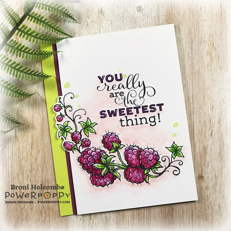 Cherries and Berries Digital Stamp Set - Power Poppy by Marcella Hawley