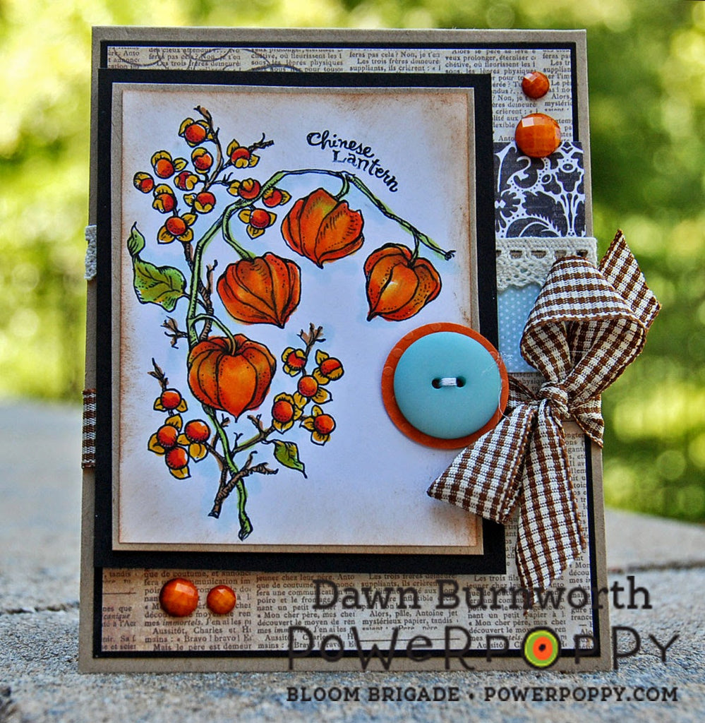 Chinese Lantern Digital Stamp Set - Power Poppy by Marcella Hawley